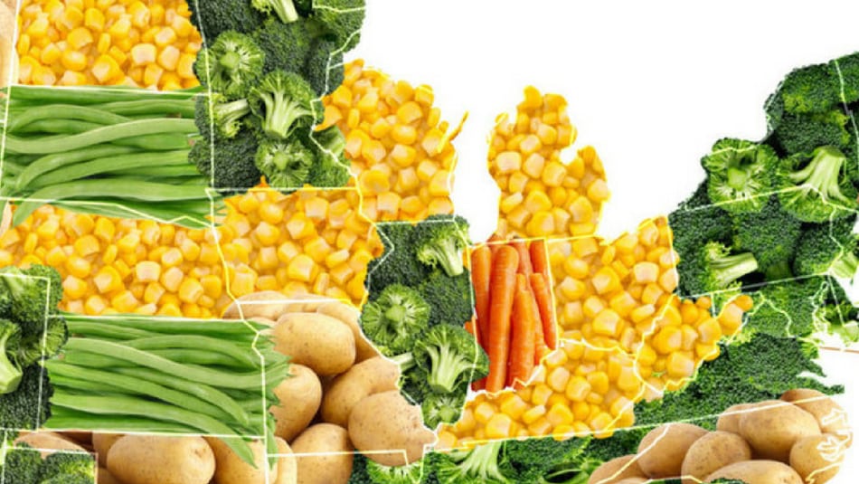 The Results are in, Broccoli is America's Favorite Vegetable