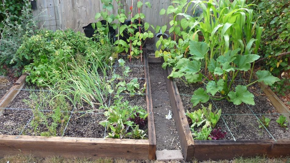 Design Your Spring Garden With the Square Foot Garden Planner