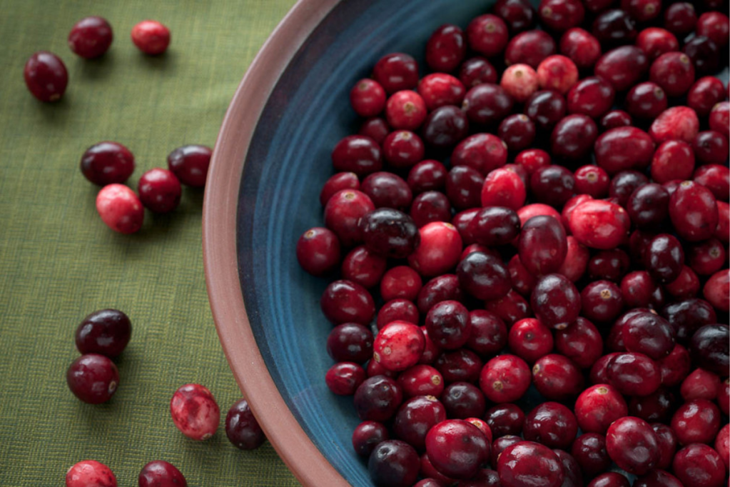 How Do Cranberries Grow and Where Do They Grow?