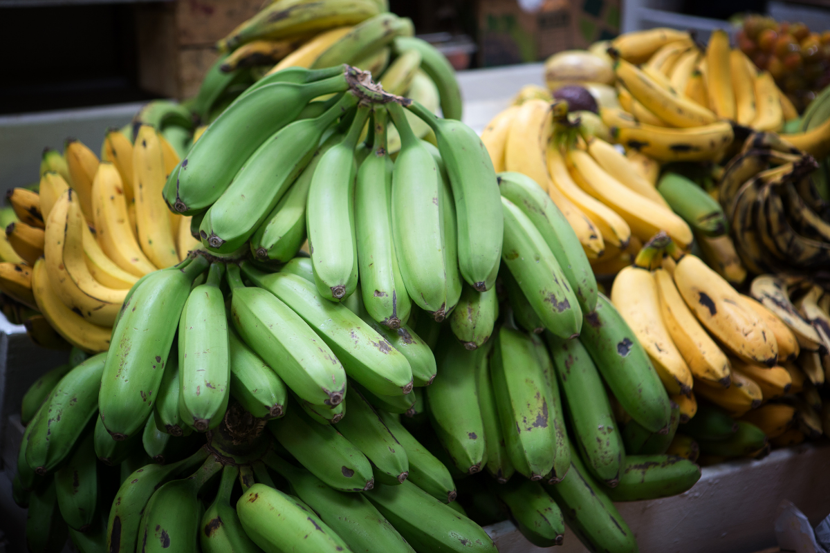 The Difference Between Plantains and Bananas Starts With the Starch