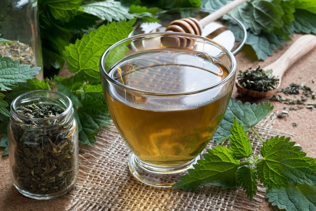 10 Ways to Use Dead Nettles and Stinging Nettles Growing in Your Yard