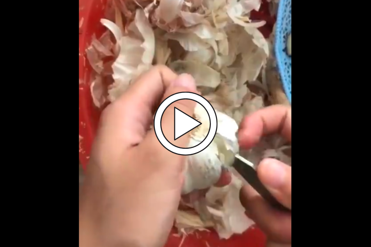 Peel Garlic Fast and Easy with this Genius Hack
