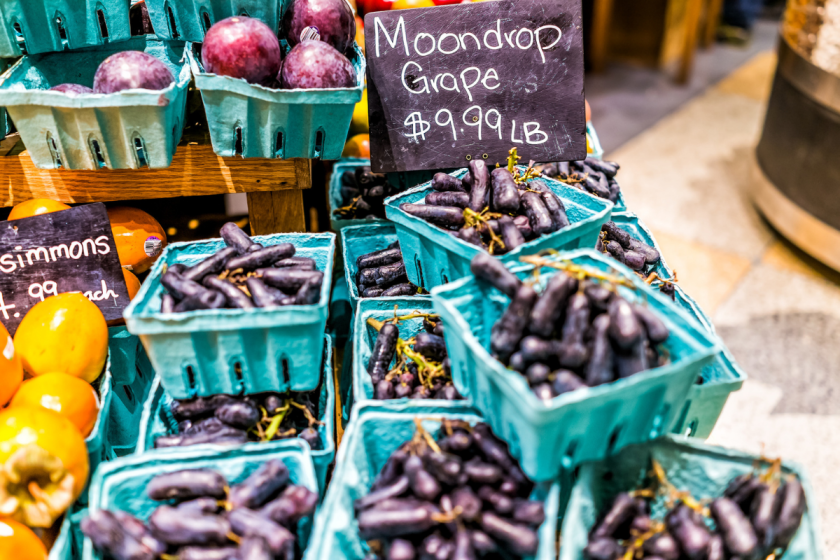 Everything You Need to Know About Texas Mustang Grapes