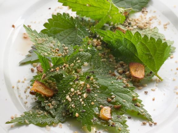 10 Ways to Use Dead Nettles and Stinging Nettles Growing in Your Yard
