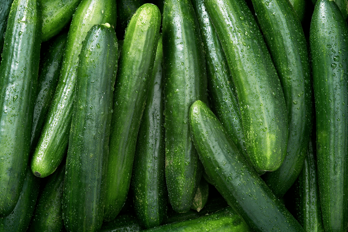 12 Cucumber Varieties Perfect For Gardeners With No Green Thumb