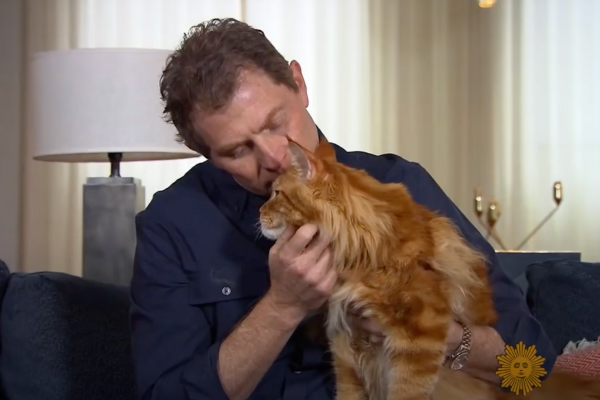 Bobby Flay and his Cat Nacho Flay Have a Love Many Only Dream Of