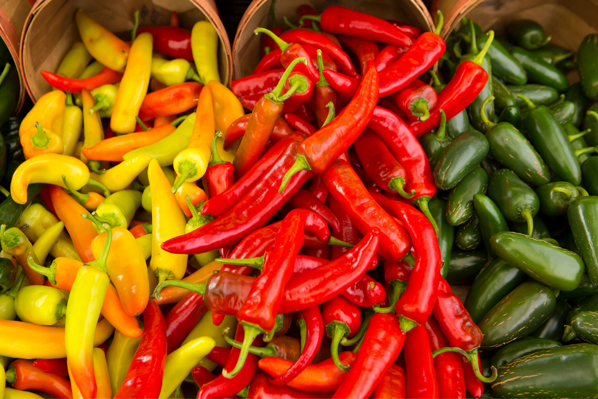 Are Peppers Fruit? Here's Why This Spicy Snack Might Be