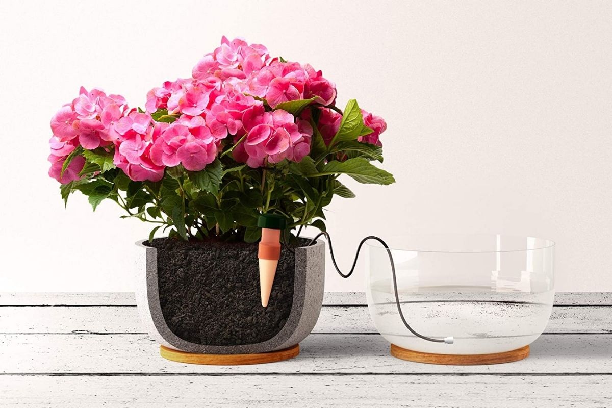 3 Best Plant Waterers of 2021: Spikes & Automatic Watering Systems