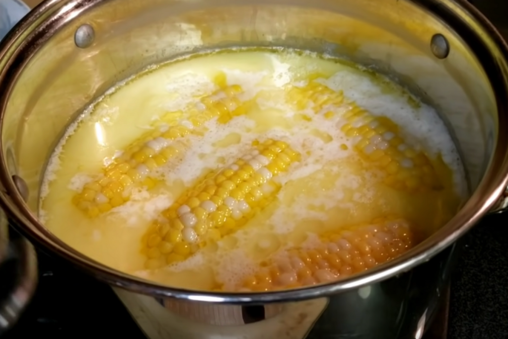 Corn on the Cob With Milk Is the Best Way To Cook Flavorful Corn