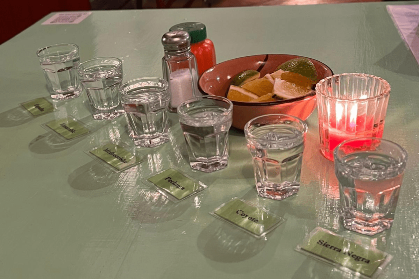 Types of Mezcal + What I Learned Mezcal Tasting in The Capital of Mezcal